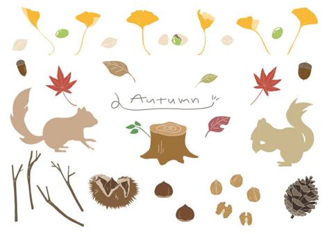 2 300 Feuille De Ginkgo Illustrations Stock Illustrations Graphiques