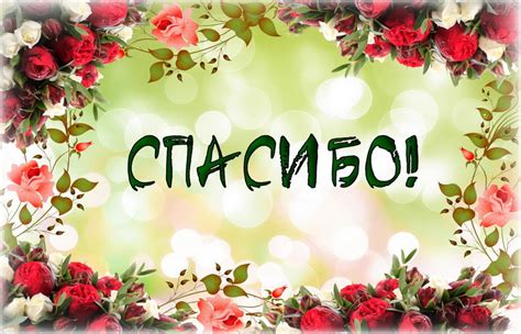 Добро пожаловать в школу