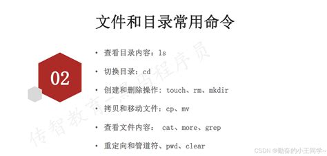 Linux和数据库 Linux操作系统和常用命令