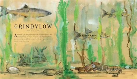Fantastic Beasts And Where To Find Them ILLUSTRATED EDITION Book Online