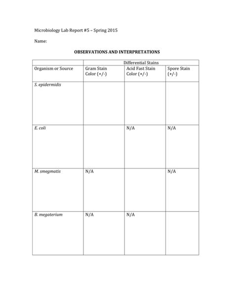 Microbiology Lab Report Gram Stain And Spore Stain Analysis