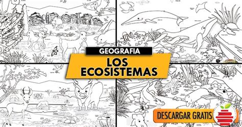 Material Para Trabajar Los Ecosistemas Ecosistemas Ciencias