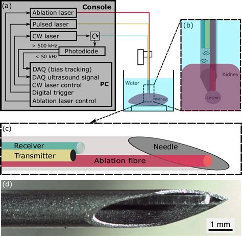 Figure 1 From Miniaturised Dual Modality All Optical Ultrasound Probe