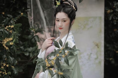 艺图语 20220530 桂花酿 兮兮兮辞 微图坊