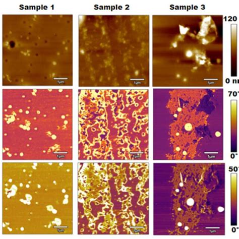 Schematic Of Dynamic Atomic Force Microscopy Download Scientific Diagram