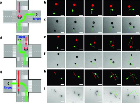 Smart Microvehicle Avoiding A Collision With A Dynamically Moving Download Scientific Diagram