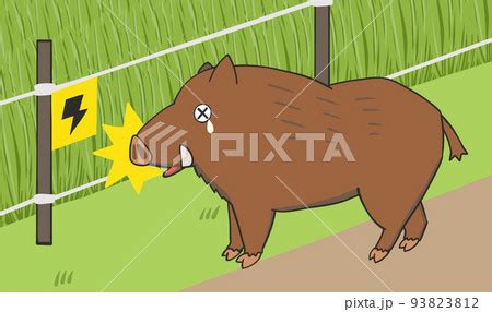Pixta