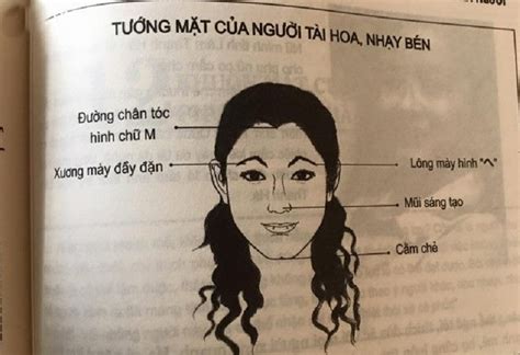 Tướng khuôn mặt nữ Bí quyết nhận biết ẩn sau vẻ đẹp gợi cảm Xem ngay