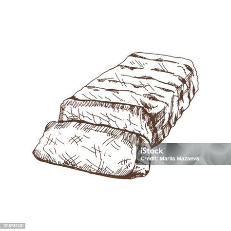 Makanan Organik Sketsa Vektor Yang Digambar Tangan Dari Steak Daging