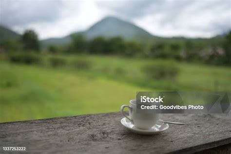 나무 테이블에 뜨거운 커피 컵과 텍스트에 대한 복사 공간이있는 농장 배경 Robusta Coffee Drink에 대한 스톡