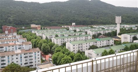 수서·일원 재건축 시동 첫 주자 상록수
