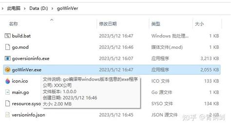 给windows下golang编译的exe程序加上产品版本等信息 知乎