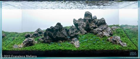 2012 AGA Aquascaping Contest Entry 163