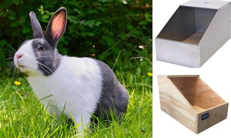 Rabbit Nesting Box Top 5 Options For Your Furry Friends In 2024