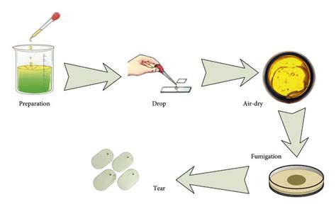 Preparation Process Of Nanoscale Flexible Composites Download Scientific Diagram