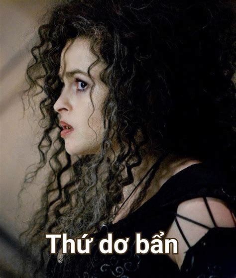 Meme Bellatrix Lestrange Bellatrix Lestrange Lestrange Harry Potter Bellatrix