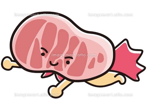 牛肉のイラスト 193123510 イメージマート