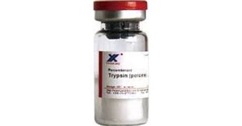Steel Laboratory Reagents Pfu Dna Polymerase At Best Price In