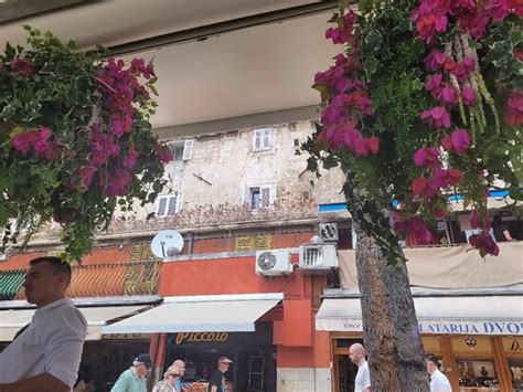 Terribke Food Review Of Snack Bar Piccolo Split Croatia Tripadvisor