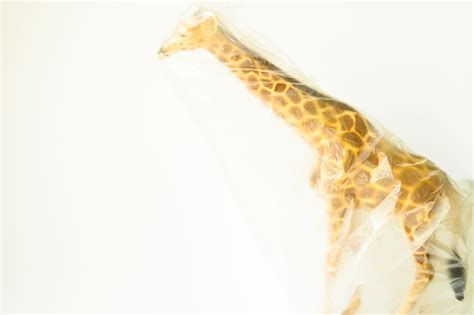 플라스틱 오염 환경 오염 생태 문제에 대한 개념 폴리에틸렌 가방에 기린의 인형 어린이 장난감 플랫 레이 상단 보기 0명에 대한