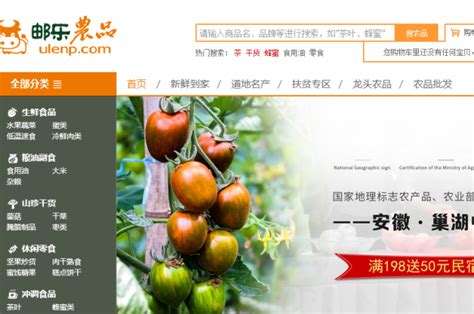 中垾镇1200亩番茄触网打赢翻身仗