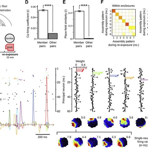 Short Timescale Hippocampal Co Firing Patterns Are Spatially Tuned And
