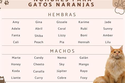 Los 26 Apodos Más Divertidos Y Originales Para Flanes