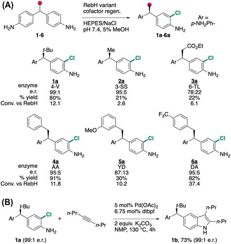 Asymmetric Catalysis By Flavin Dependent Halogenases Pmc