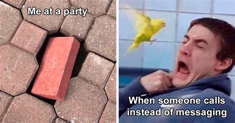 34 Of The Funniest Introvert Memes New Pics