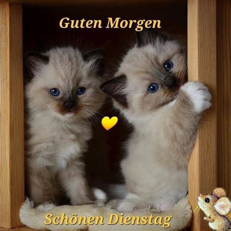 Pin Von Karin Dauer Auf Guten Morgen Schöne Bilder Dienstag Grüße