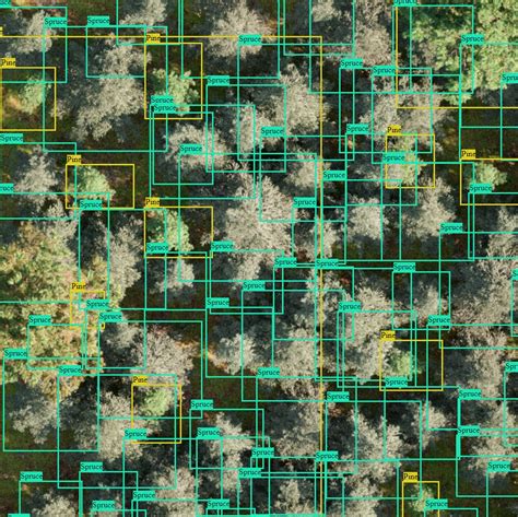 Hyggligt Får Finansiering Från Visual Sweden För Ai Driven Bildanalys