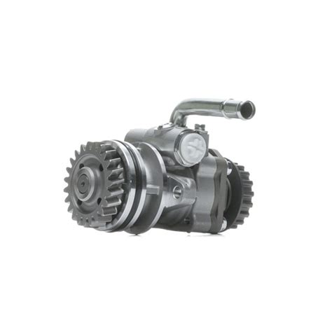 95048324 SPIDAN, ERA Benelux Power steering pump | 95048324 at a good price