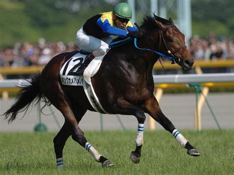 大王キングカメハメハ没後5年 その輝きは今も色あせず 競馬ニュース Netkeiba