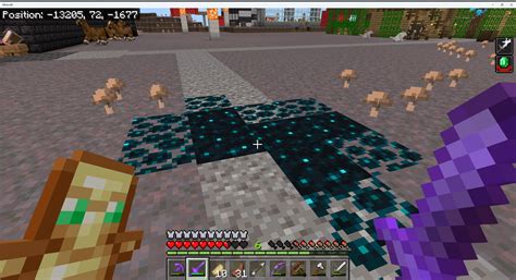 Can Raids Spawn Deep Dark We Fought A Raid And This Appeared When We