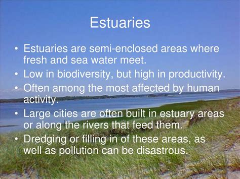 PPT Estuaries And Intertidal Communities PowerPoint Presentation Free Download ID