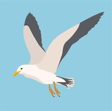 Dibujos animados de aves marinas atlánti Premium Vector Freepik