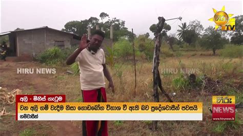 අපි අඹුඩෙ ගැහුවොත් තමා උන් ටයි කෝට් දාන්නේ ඒක මතක තියා ගන්න Hiru News Youtube