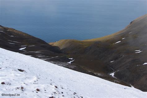 nordpaul.de - Svalbard - Spitzbergen 2008
