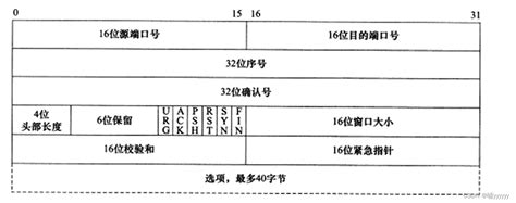 linux tcp协议