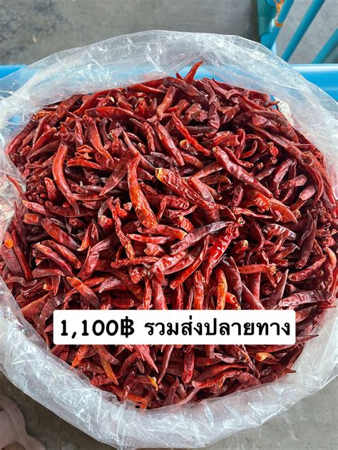 พริกสด พริกแห้งจา พริกสด พริกแห้งจากสวนโดยตรง อุบลราชธานี