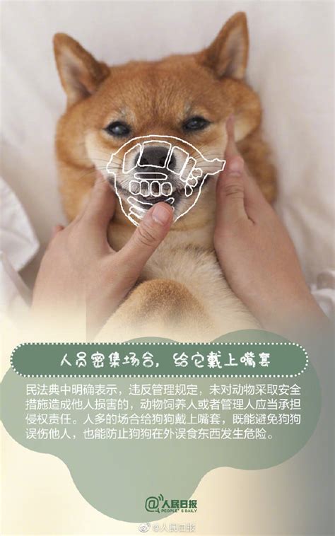遛狗不牵绳5月1日起违法 转发呼吁做文明养犬人 中华网河南