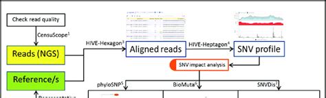 Wgs Analysis Pipeline Integration Of Multiple Tools And Databases Download Scientific Diagram