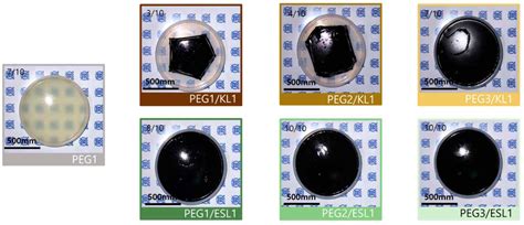 Journal Of The Korean Wood Science And Technology