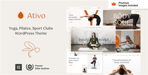 Ativo Pilates Yoga Wordpress Theme Webdevbay