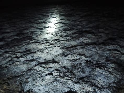 थ्रेसिंग के लिए तैयार थी फसल मौके पर पहुंचे ग्रामीणों ने नजदीक लगे
