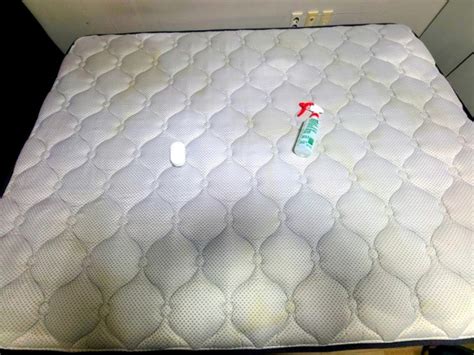 통영 매트리스 세탁집 먼지 진드기 제거 침대 토피아 거제 네이버 블로그