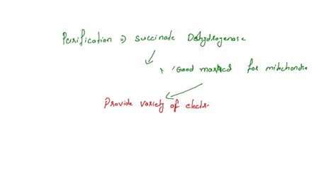 Solved In Your Succinate Dehydrogenase Purification Experiment You