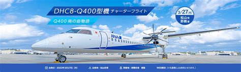 Dhc8 Q400型機チャーターフライト ～q400 南の島物語～ana