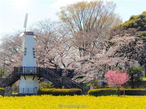 Saitamas Stunning Cherry Blossom Corridor The Longest In Japan