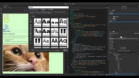 Dreamweaver Using The Css Designer Part 3 Youtube